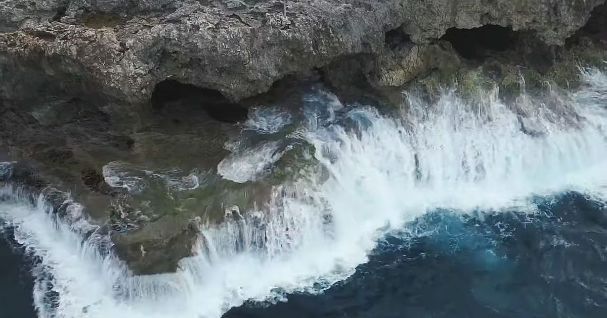 Animal Flower Cave - Barbados By Drone