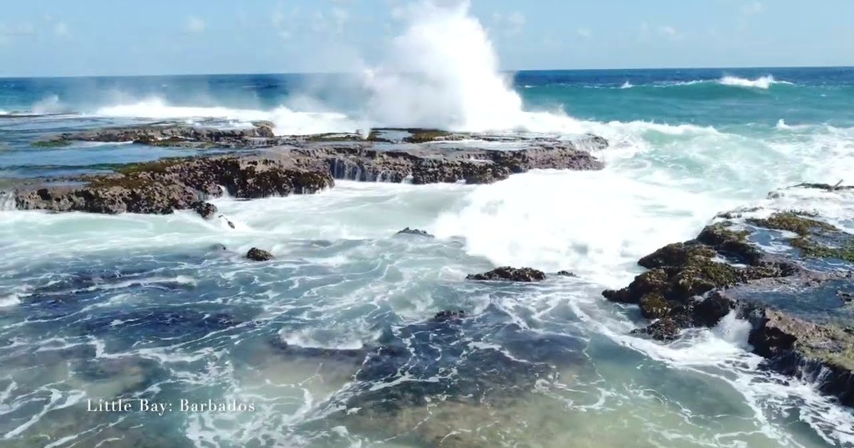 Little Bay - Barbados By Drone
